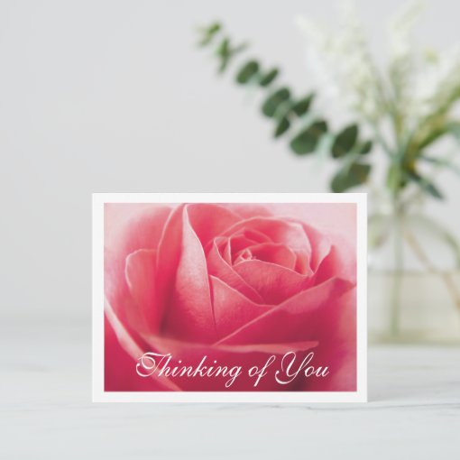 Thinking of You Pink Rose Greeting Postcard | Zazzle