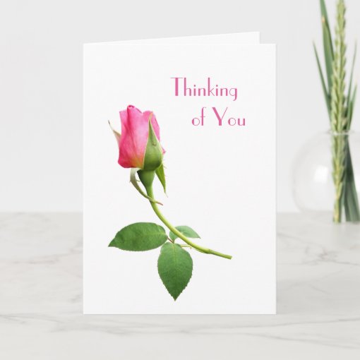 Thinking of You Pink Rose Minimalist Modern Love Card | Zazzle