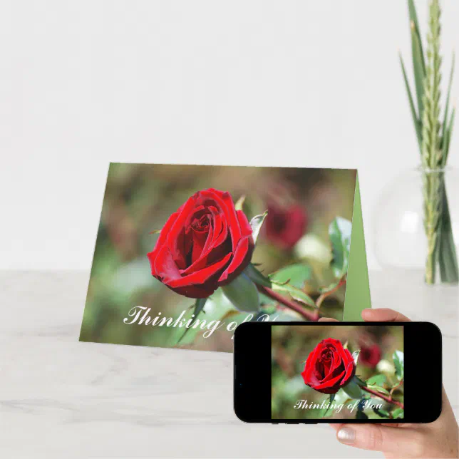 Thinking of You Romantic Red Rose Card | Zazzle