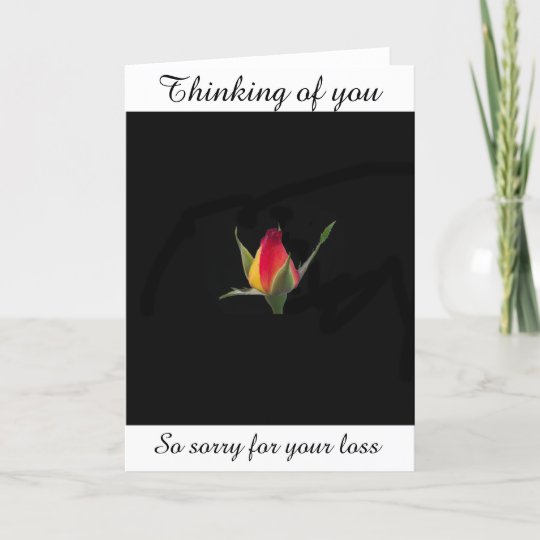 Thinking of you So sorry for your loss rose Card | Zazzle.com