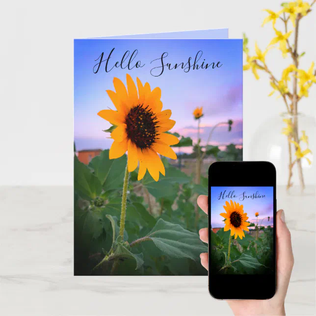 Thinking of You Sunflower at Sunset Photo Custom Card | Zazzle