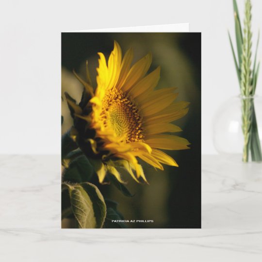 Thinking of You Sunflower Light PhotoTemplate Card | Zazzle.com