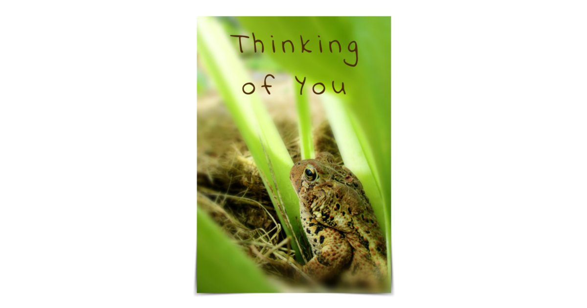 "Thinking of You" Thoughtful Toad Card | Zazzle