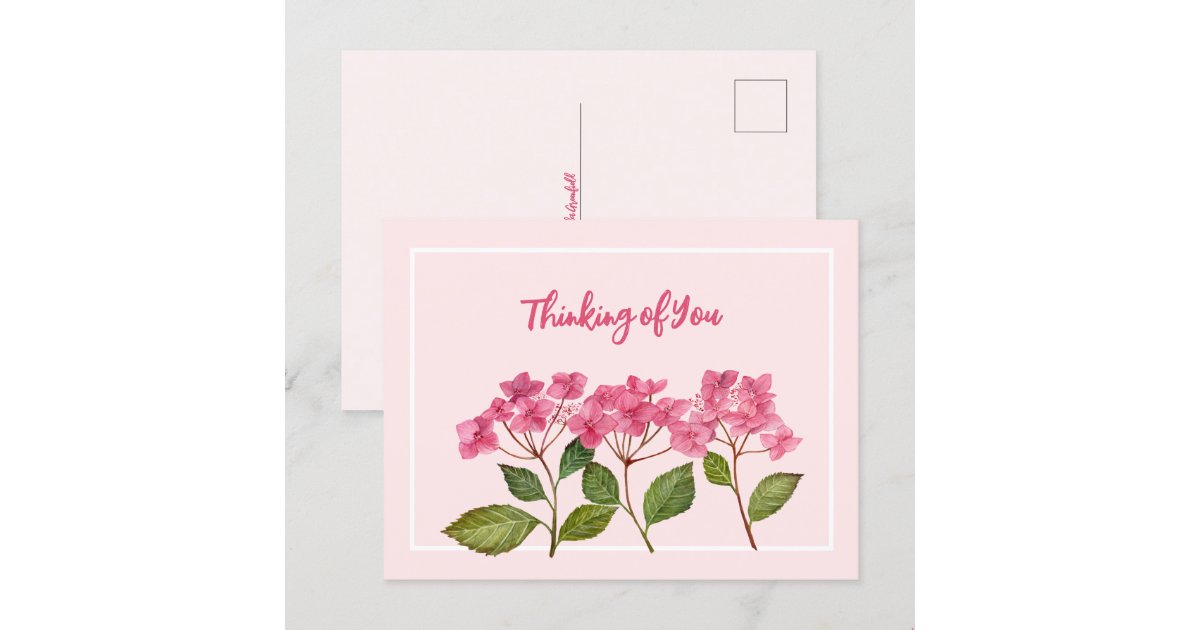 Thinking of You Watercolor Pink Hydrangea Lacecaps Holiday Postcard ...