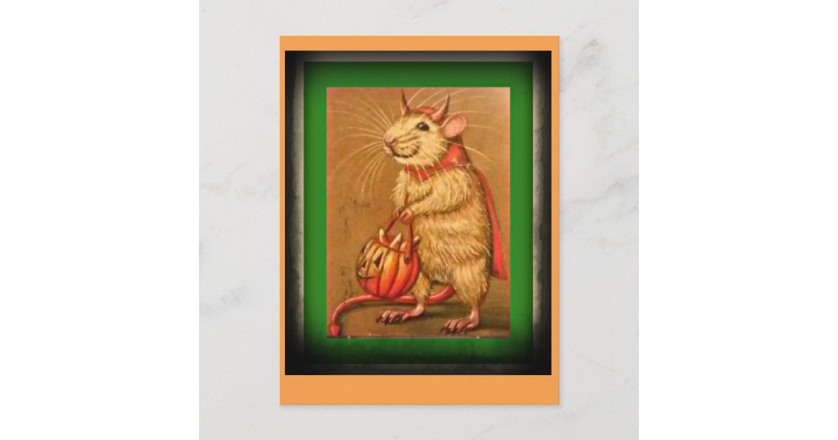 This Old Mouse Postcard | Zazzle