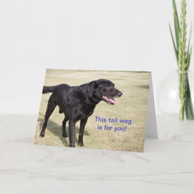 This tail wag is for you. Black Lab Card | Zazzle