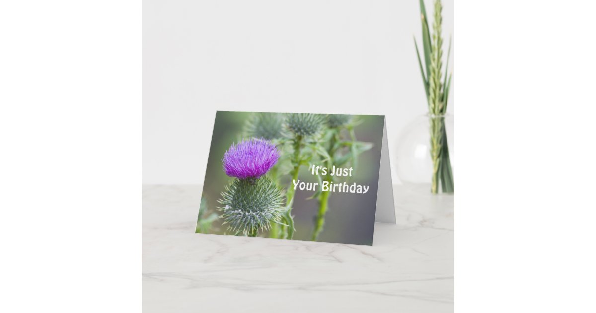Thistle Birthday Card | Zazzle