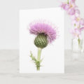 Thistle Card | Zazzle