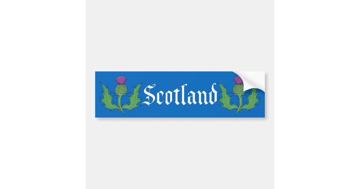 Thistle Scotland Bumper Sticker | Zazzle