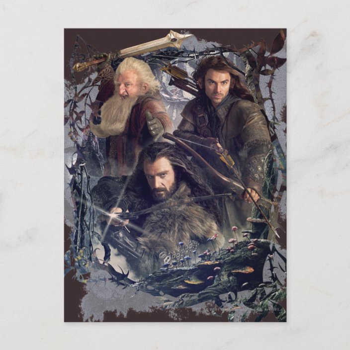 Thorin, Kili, and Balin Graphic Postcard | Zazzle.com