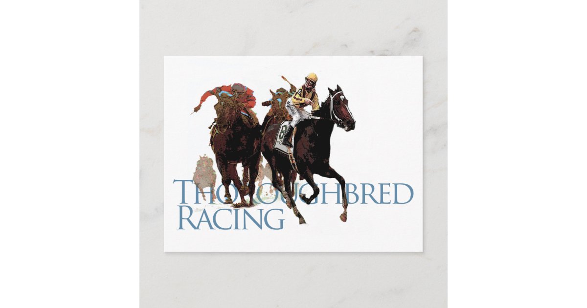 Thoroughbred Horse Racing Gifts Postcard | Zazzle