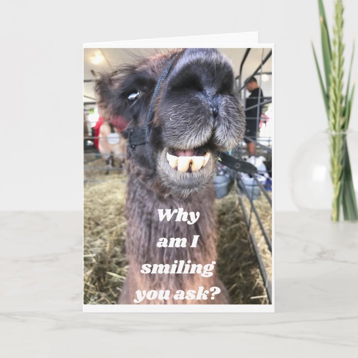 THOSE ARE SOME TEETH!! HAPPY BIRTHDAY CARD | Zazzle