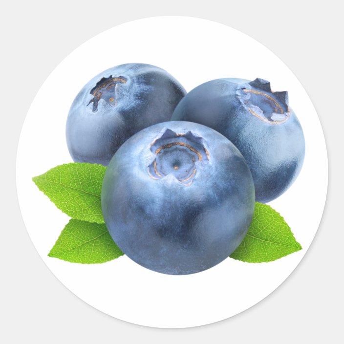 Three blueberries classic round sticker | Zazzle.com