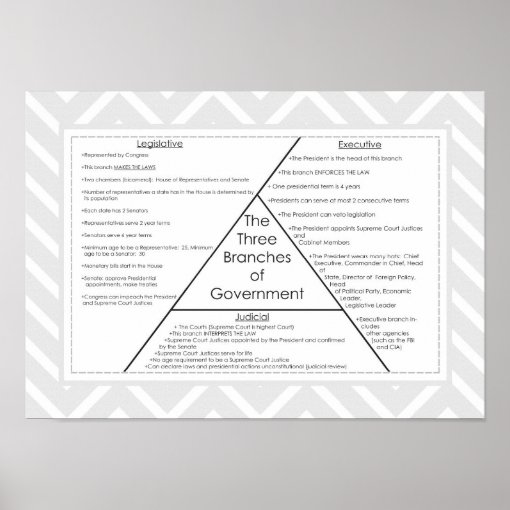 Three Branches of Government Poster | Zazzle