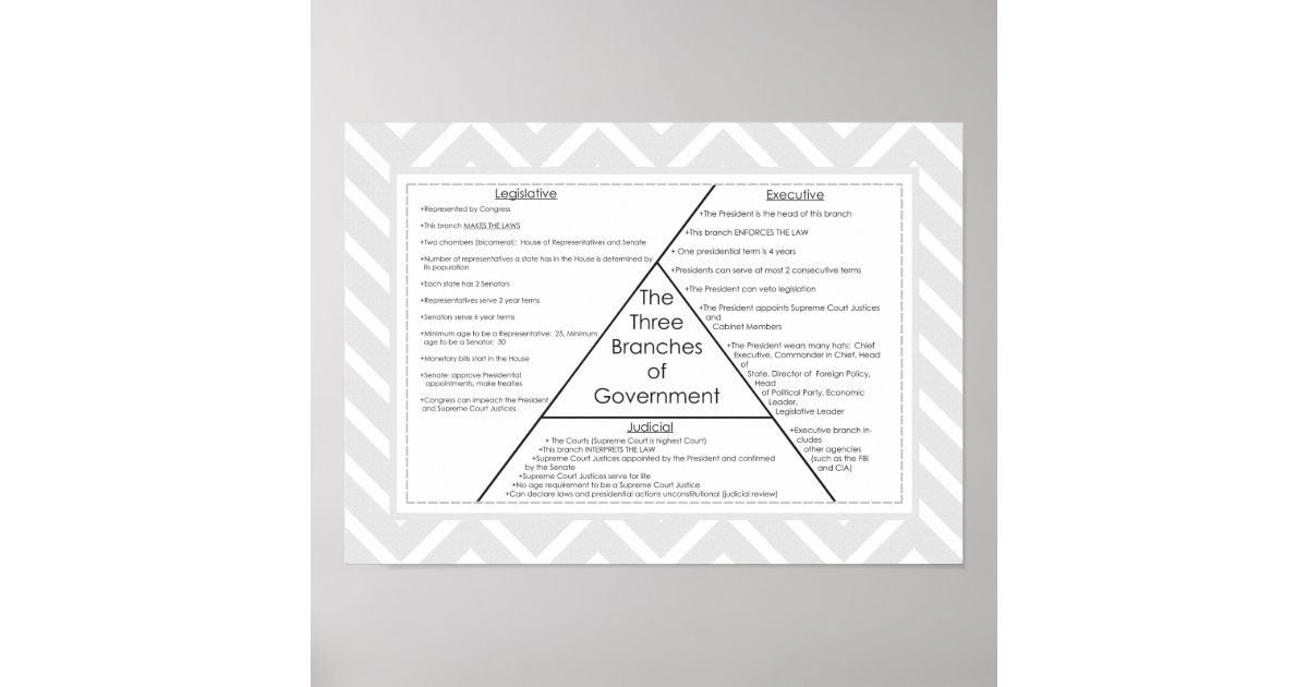 Three Branches of Government Poster | Zazzle