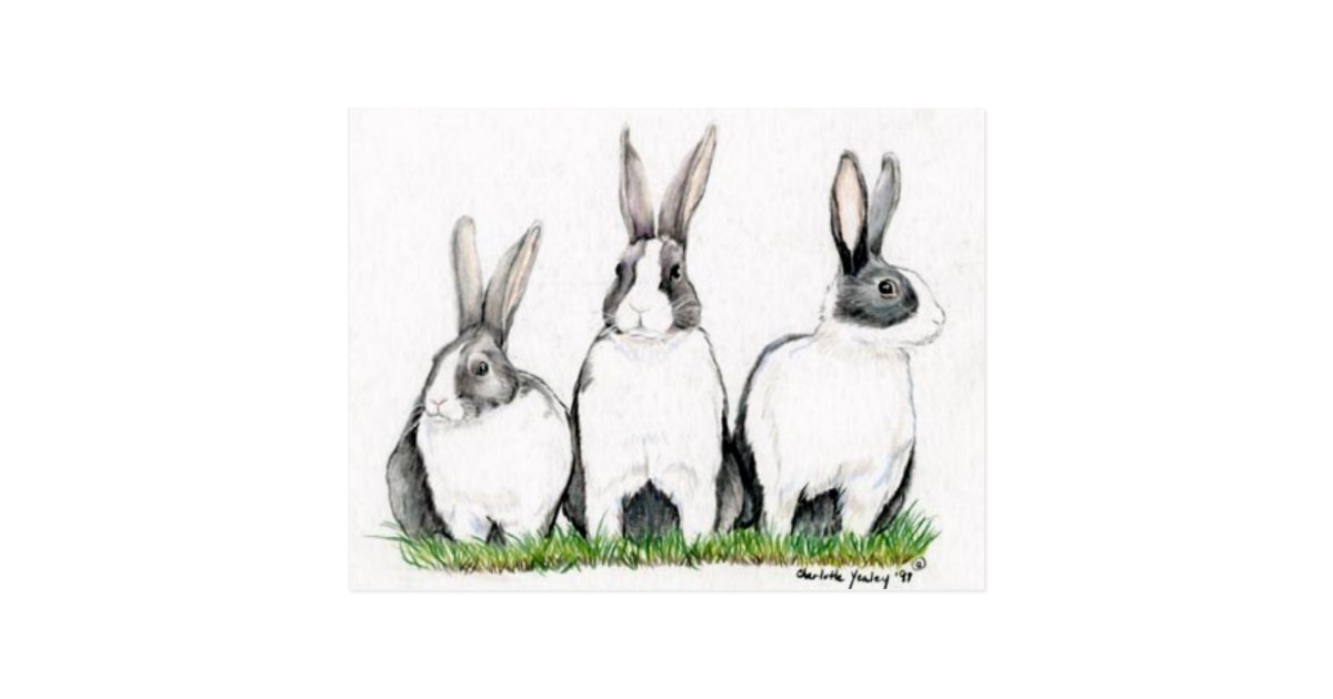 "Three Bunnies" Animal Art Postacard Postcard | Zazzle.com