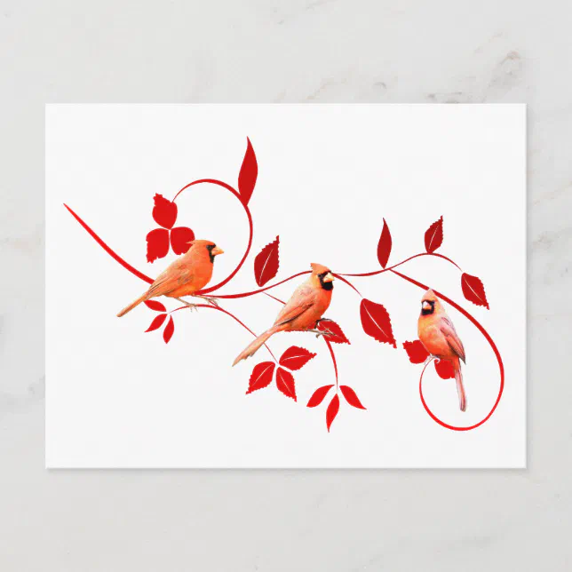 Three Cardinals Postcard | Zazzle