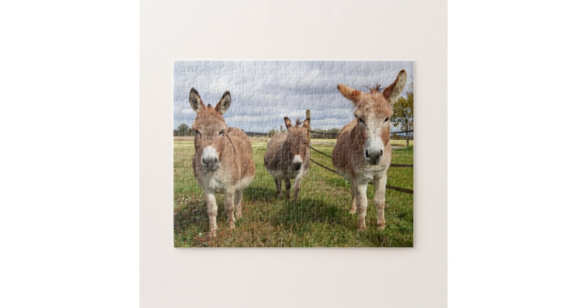 Three Donkey’s Jigsaw Puzzle | Zazzle