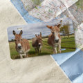 Three Donkey’s License Plate | Zazzle