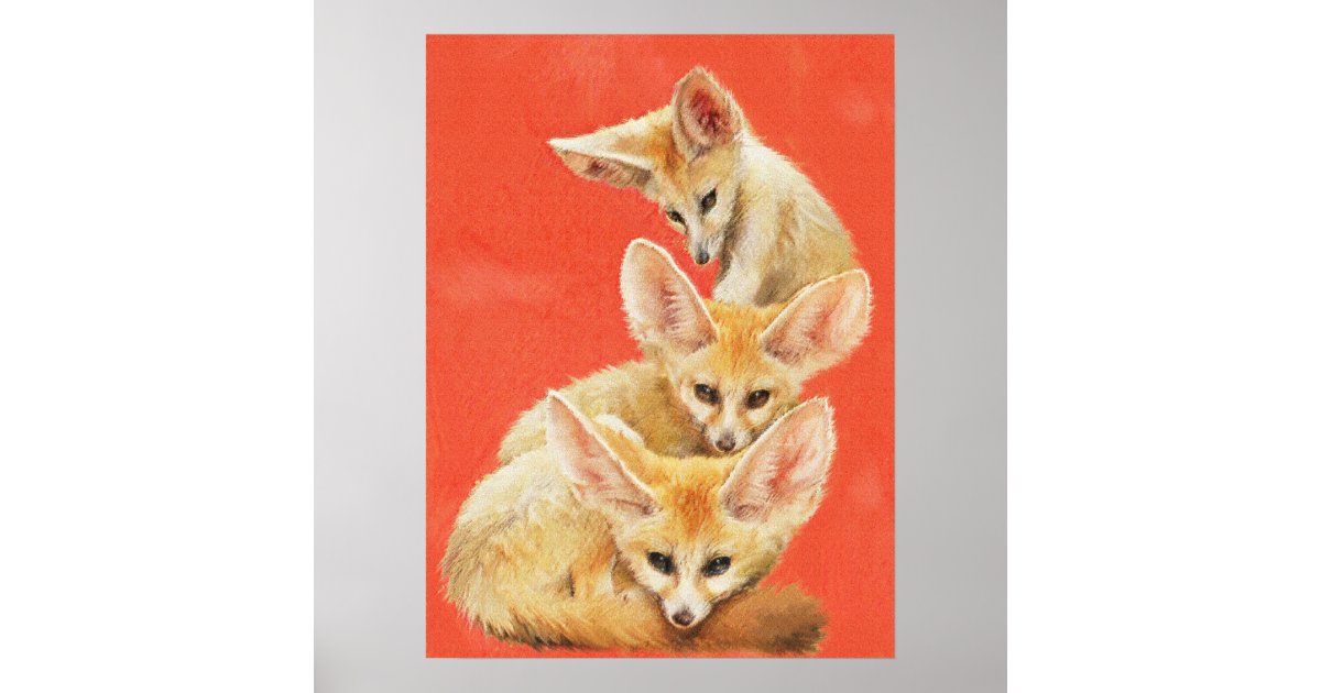 Three Fennec Fox Kits Poster | Zazzle