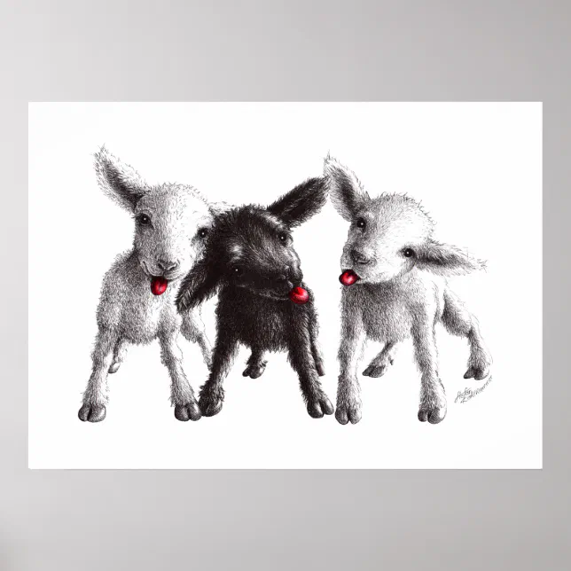 Three Funny Cheeky Sheep Poster | Zazzle