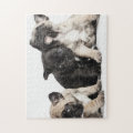 Three Pug Puppies Jigsaw Puzzle | Zazzle