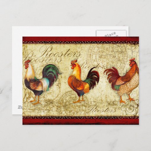 Three Roosters Postcard | Zazzle