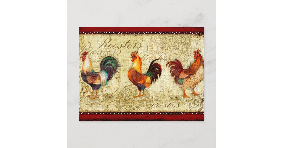 Three Roosters Postcard | Zazzle