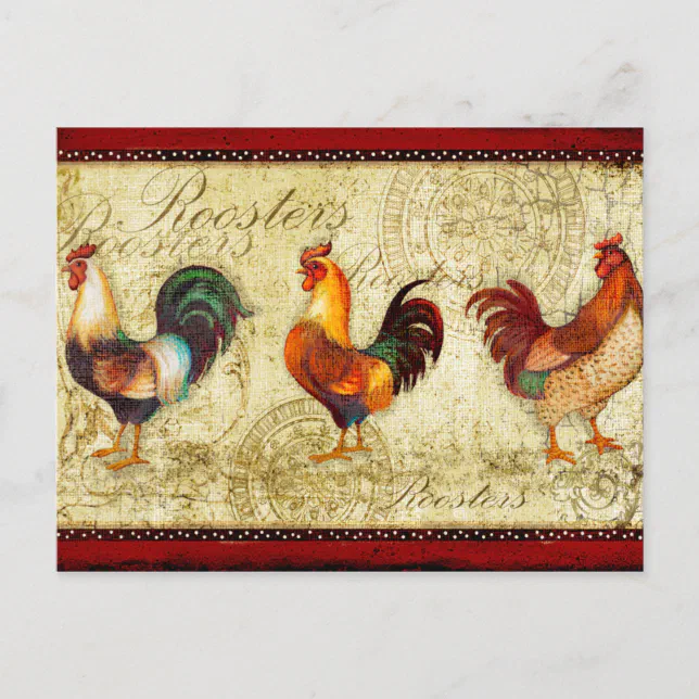 Three Roosters Postcard | Zazzle