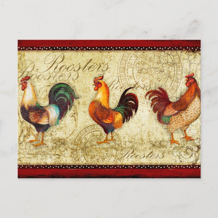 Three Roosters Postcard | Zazzle.com