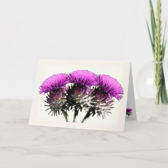 Three Scottish Thistles Card | Zazzle.com