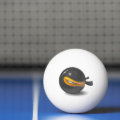 Three Star Ping Pong Ball | Zazzle