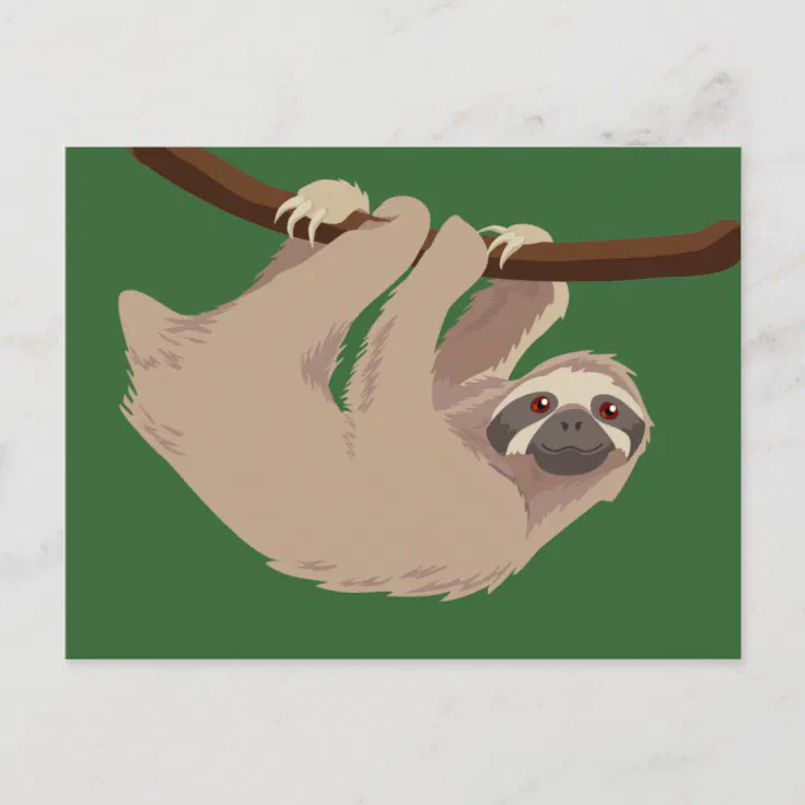 Three Toed Sloth Postcard | Zazzle