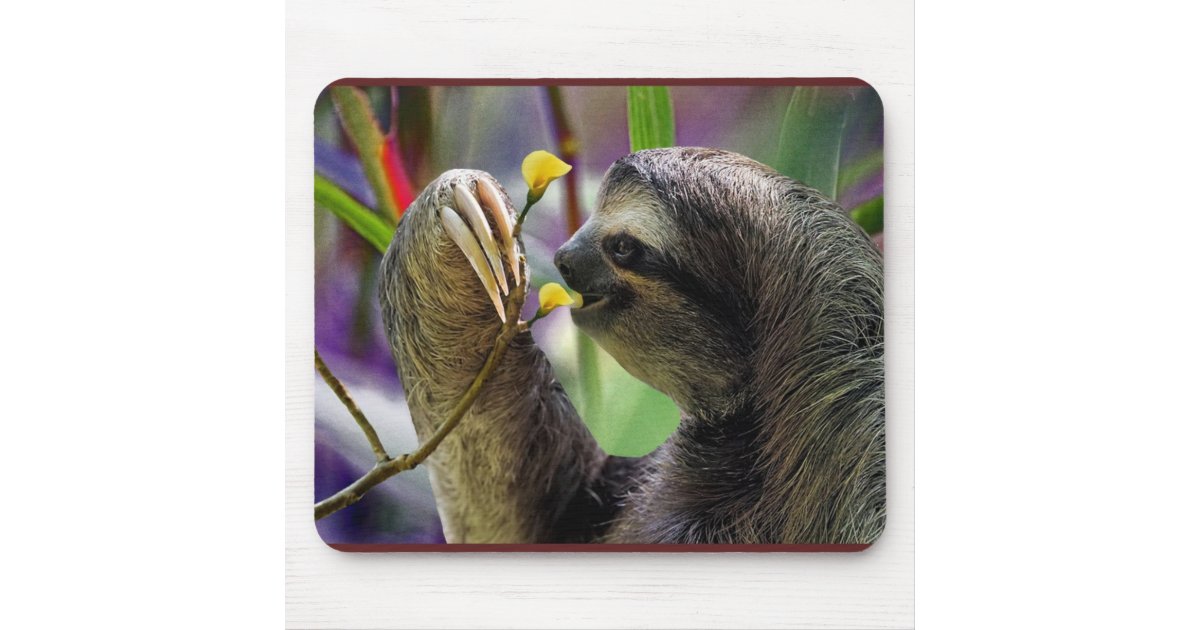 Three-Toed Tree Sloth Mouse Pad | Zazzle