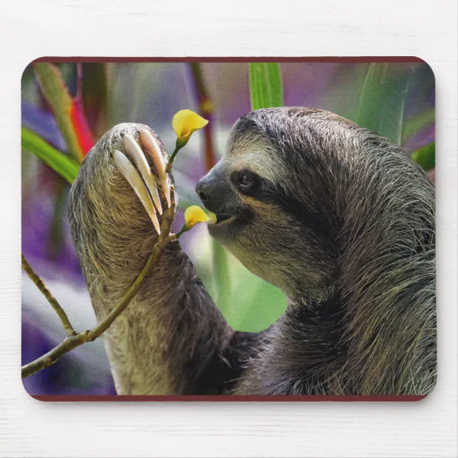 Three-Toed Tree Sloth Mouse Pad | Zazzle