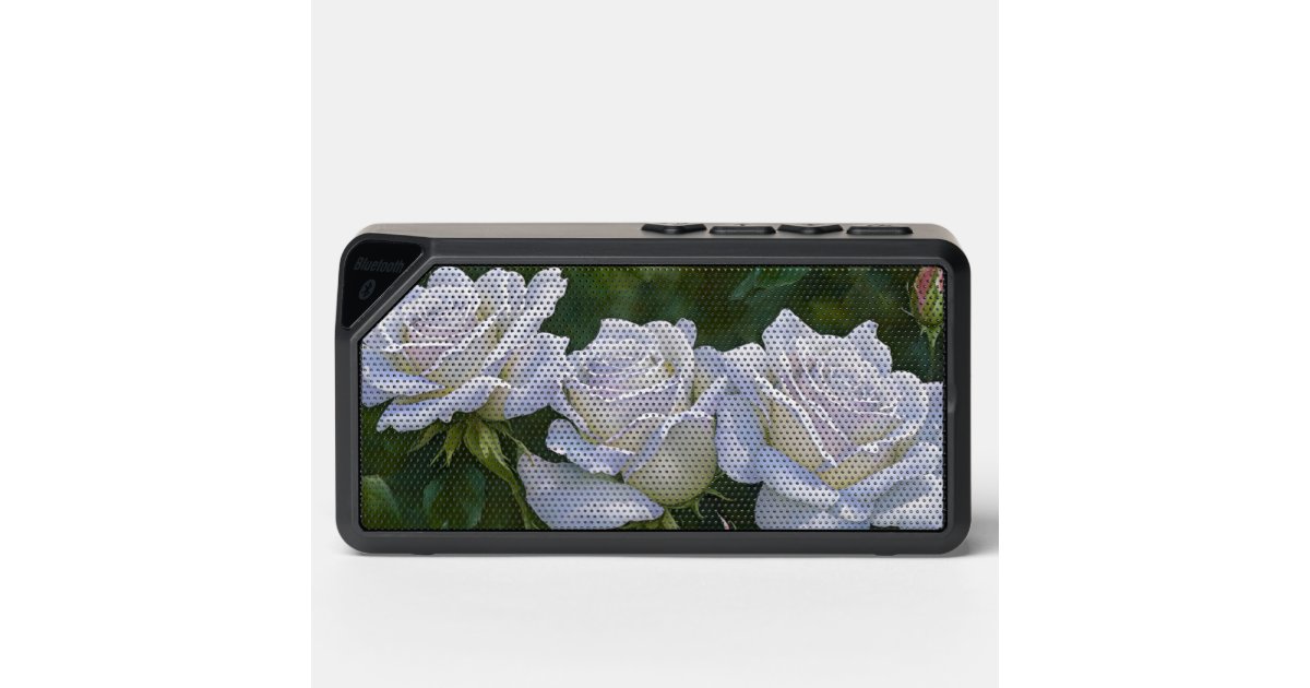 Three White Roses Art Speaker | Zazzle
