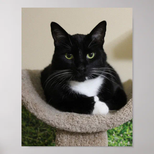 Thumbs up poster | Zazzle