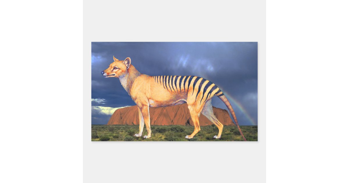 Thylacine (Tasmanian Tiger) Rectangular Sticker | Zazzle