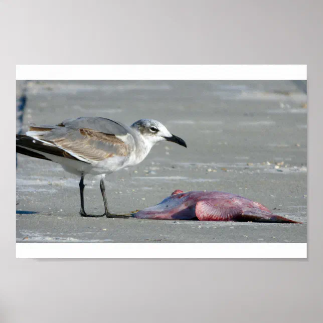 Tidal Buffet Poster | Zazzle