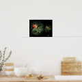 Tiddly Winks Miniature Rose Wall Art by Stan VG | Zazzle