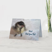 Tidi my Bird the Parus Major Card | Zazzle
