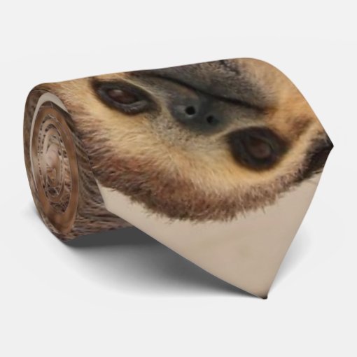 Tie with baby sloth hanging upside down | Zazzle