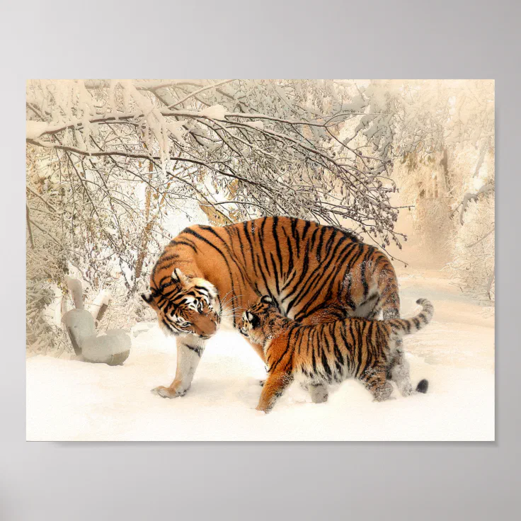 Tiger and cub in snow poster | Zazzle