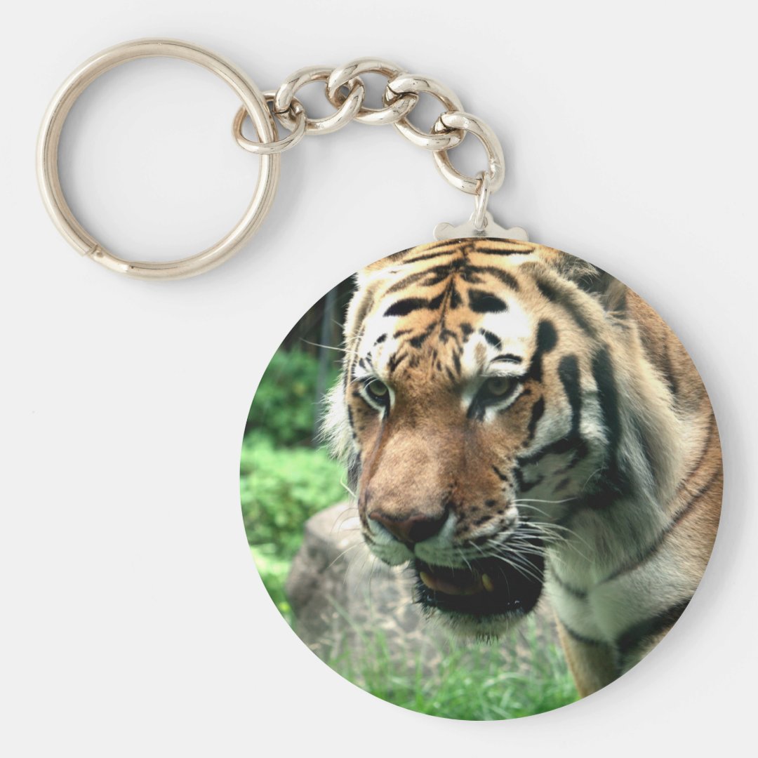 Tiger at the Bronx Zoo Keychain | Zazzle