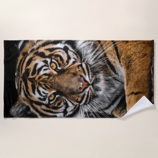 Tiger Beach Towel | Zazzle