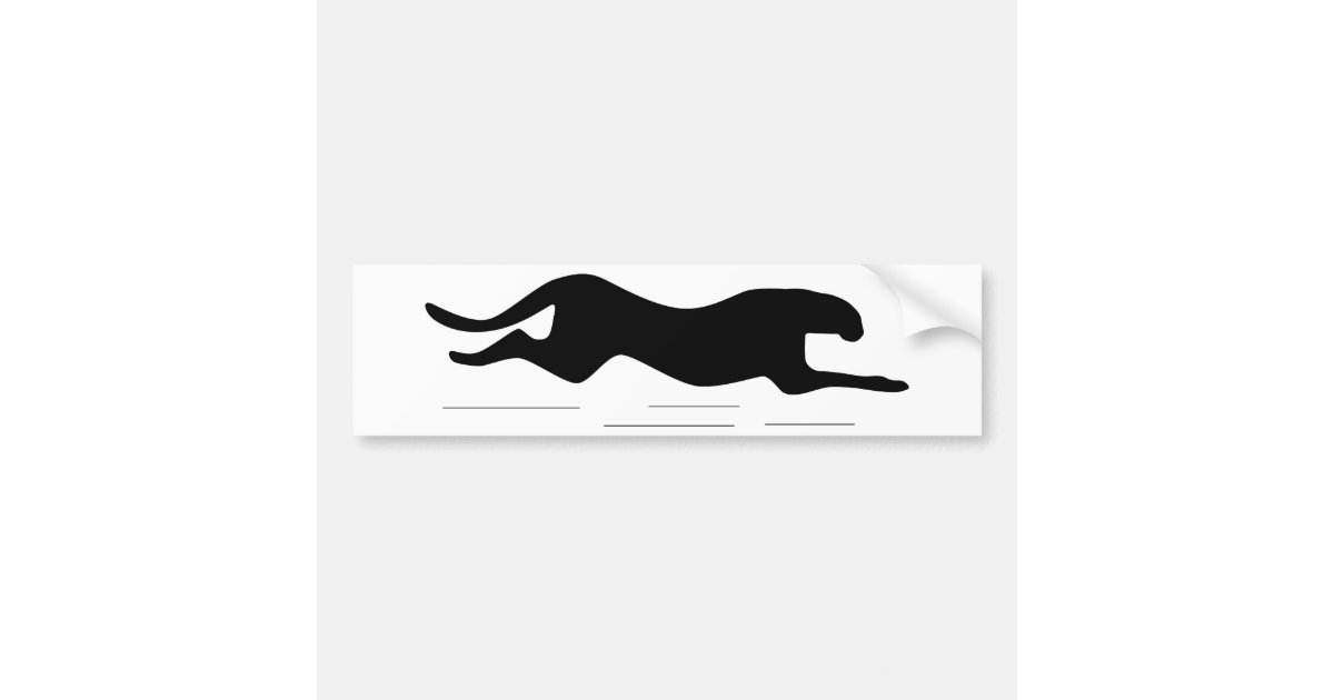 tiger bumper sticker | Zazzle