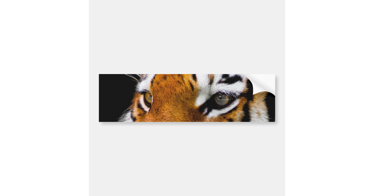 Tiger Bumper Sticker | Zazzle