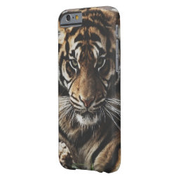 Tiger Case | Zazzle