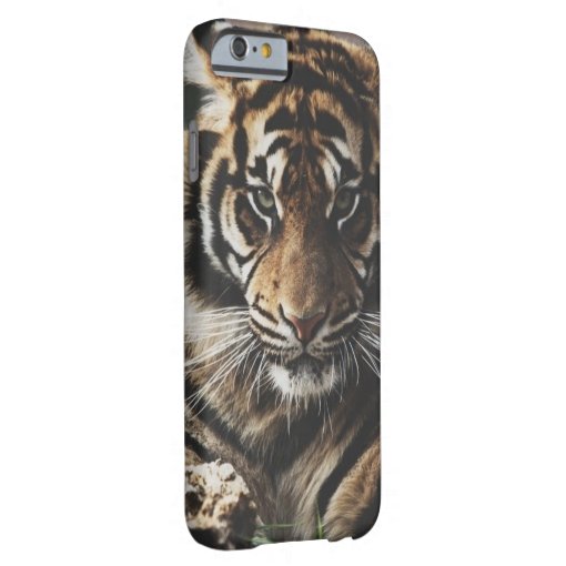 Tiger Case | Zazzle