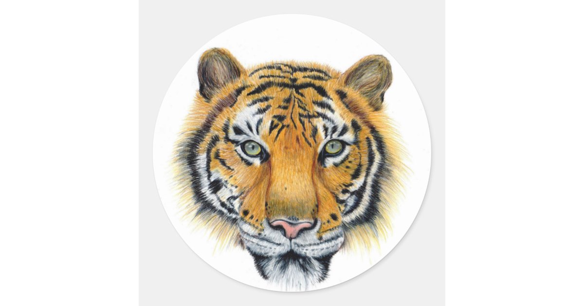 Tiger Classic Round Sticker | Zazzle
